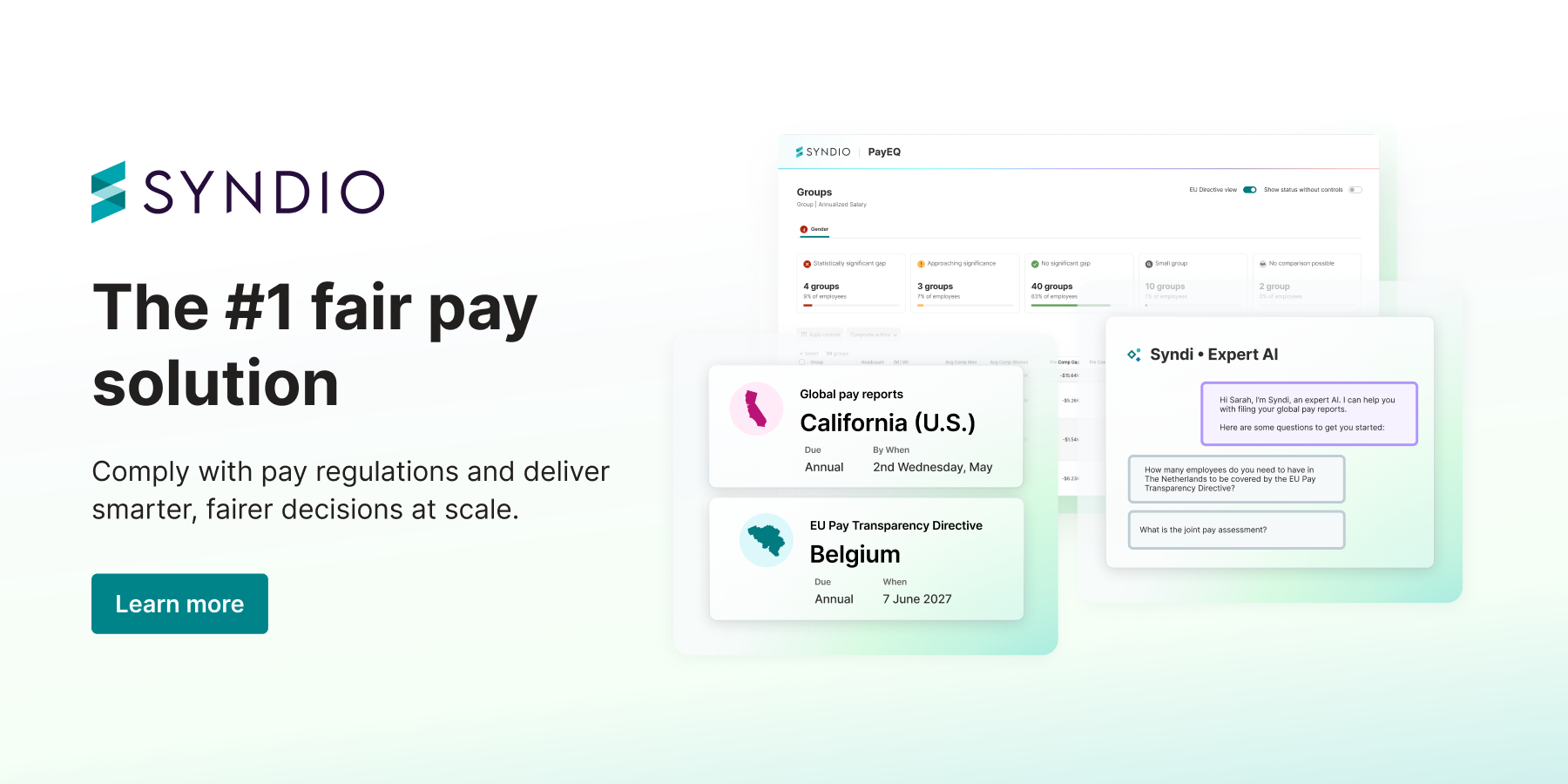 Trusted Enterprise Fair Pay Software Solutions | Syndio